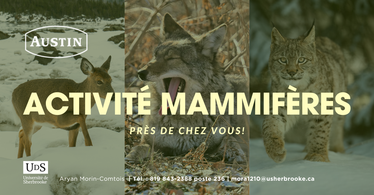 Invitation à une activité interactive sur la faune d’Austin ...