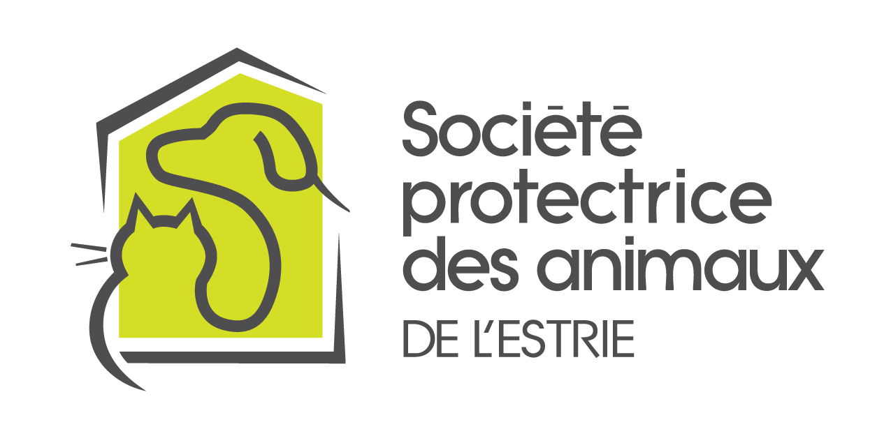 Animaux de compagnie - Municipalité d'Austin